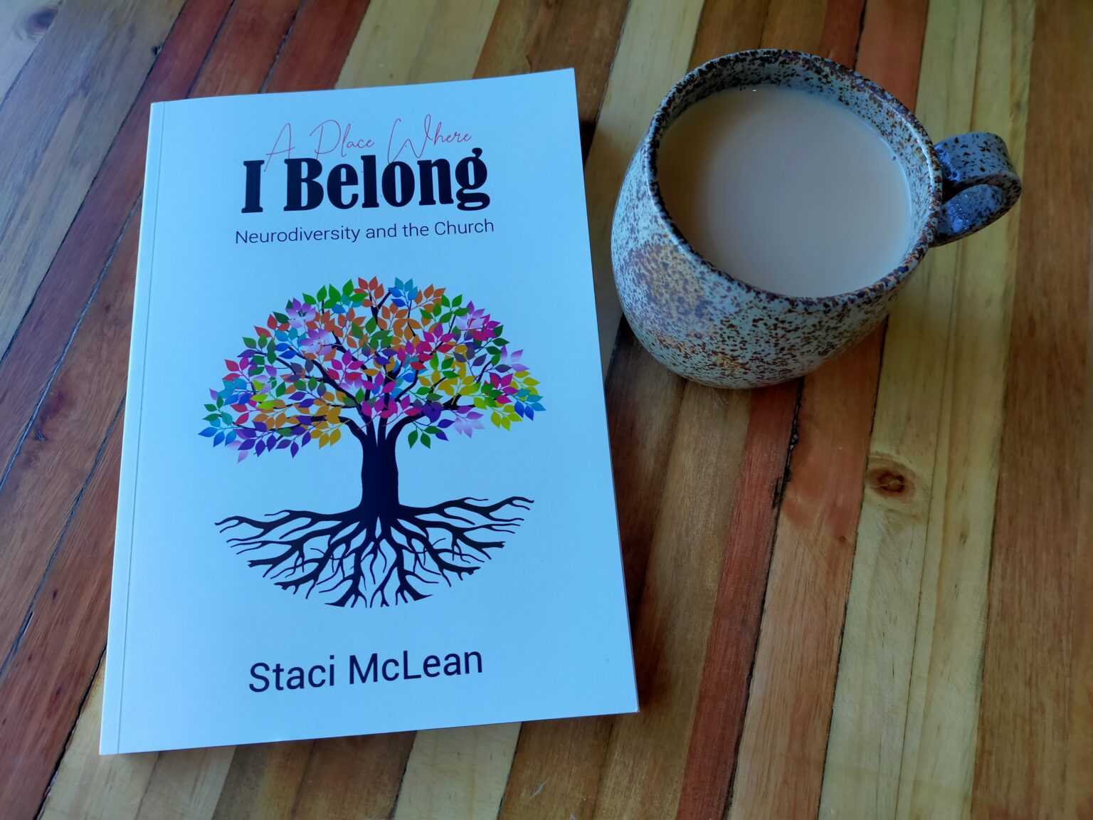 Book Review: A Place Where I Belong - Elevate Christian Disability Trust